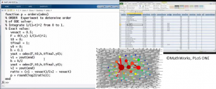 The power and intrigue of mathematics – APHA Science Blog