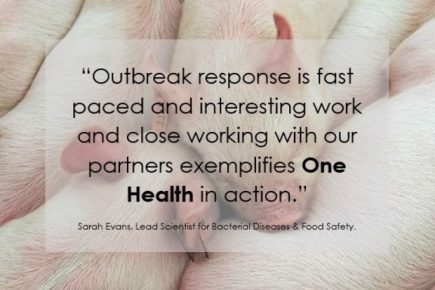 One Health – APHA Science Blog