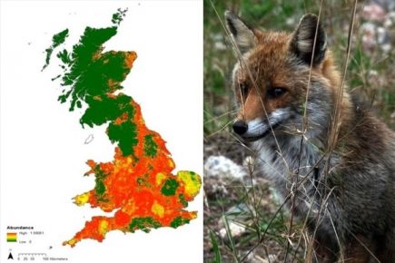 Why wildlife health issues are not just a biodiversity concern. – APHA ...