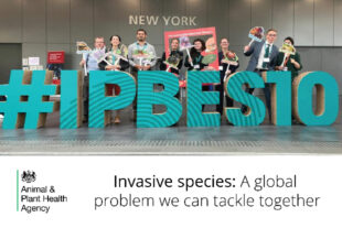 Invasive species: A global problem we can tackle together – APHA ...