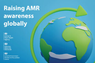 Raising AMR awareness globally – APHA Science Blog