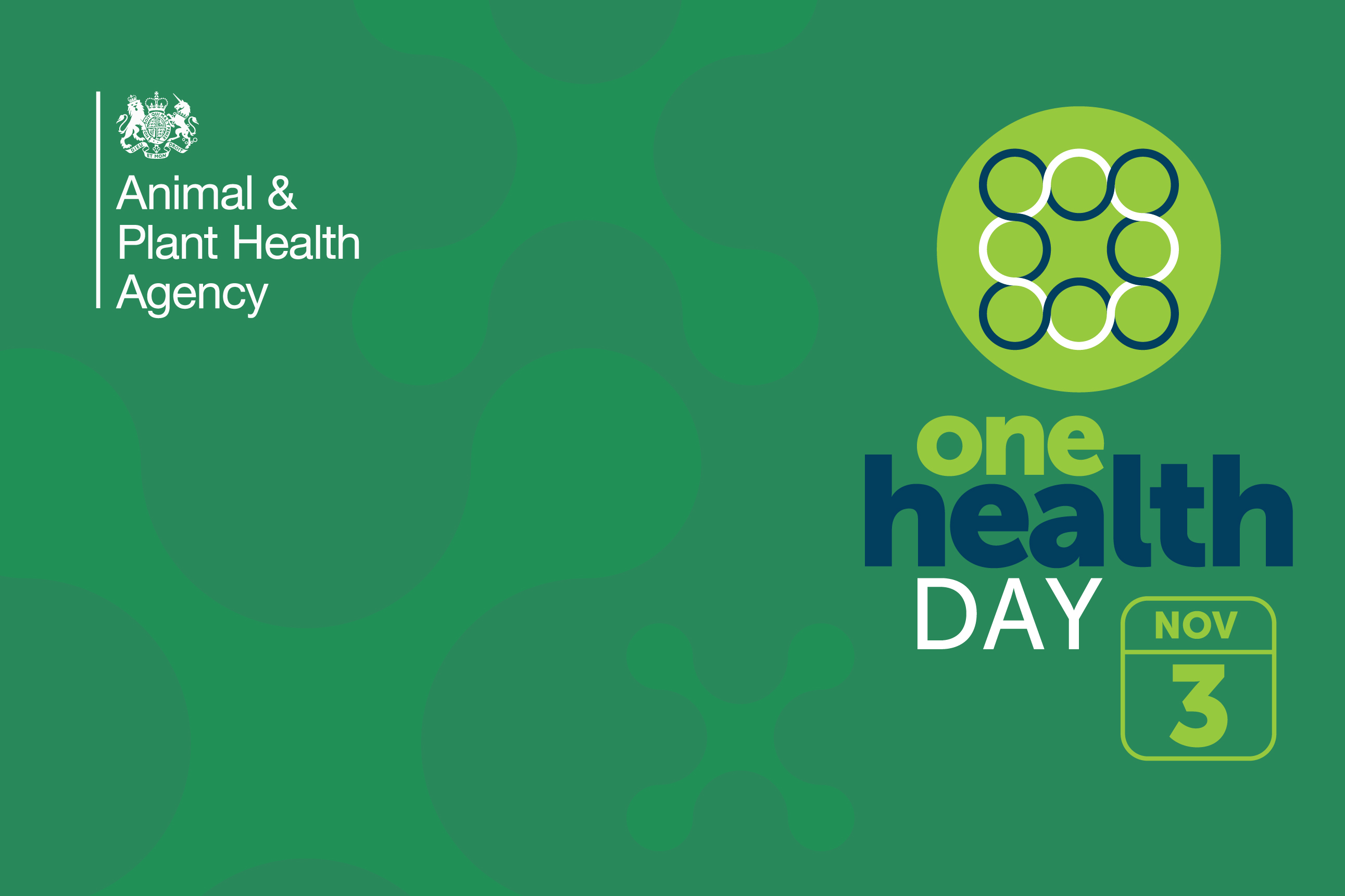 One Health partnerships with India – APHA Science Blog