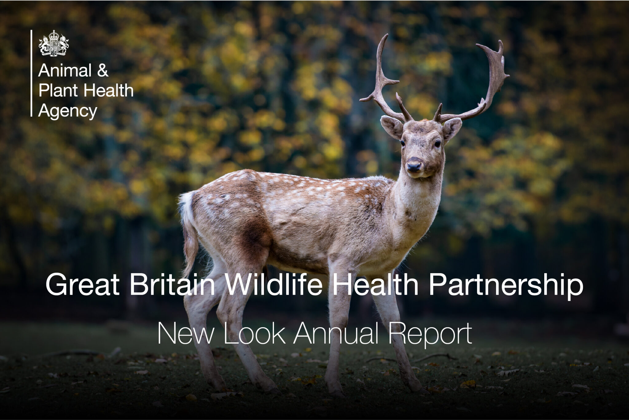How healthy is our wildlife? New report unveiled. – APHA Science Blog