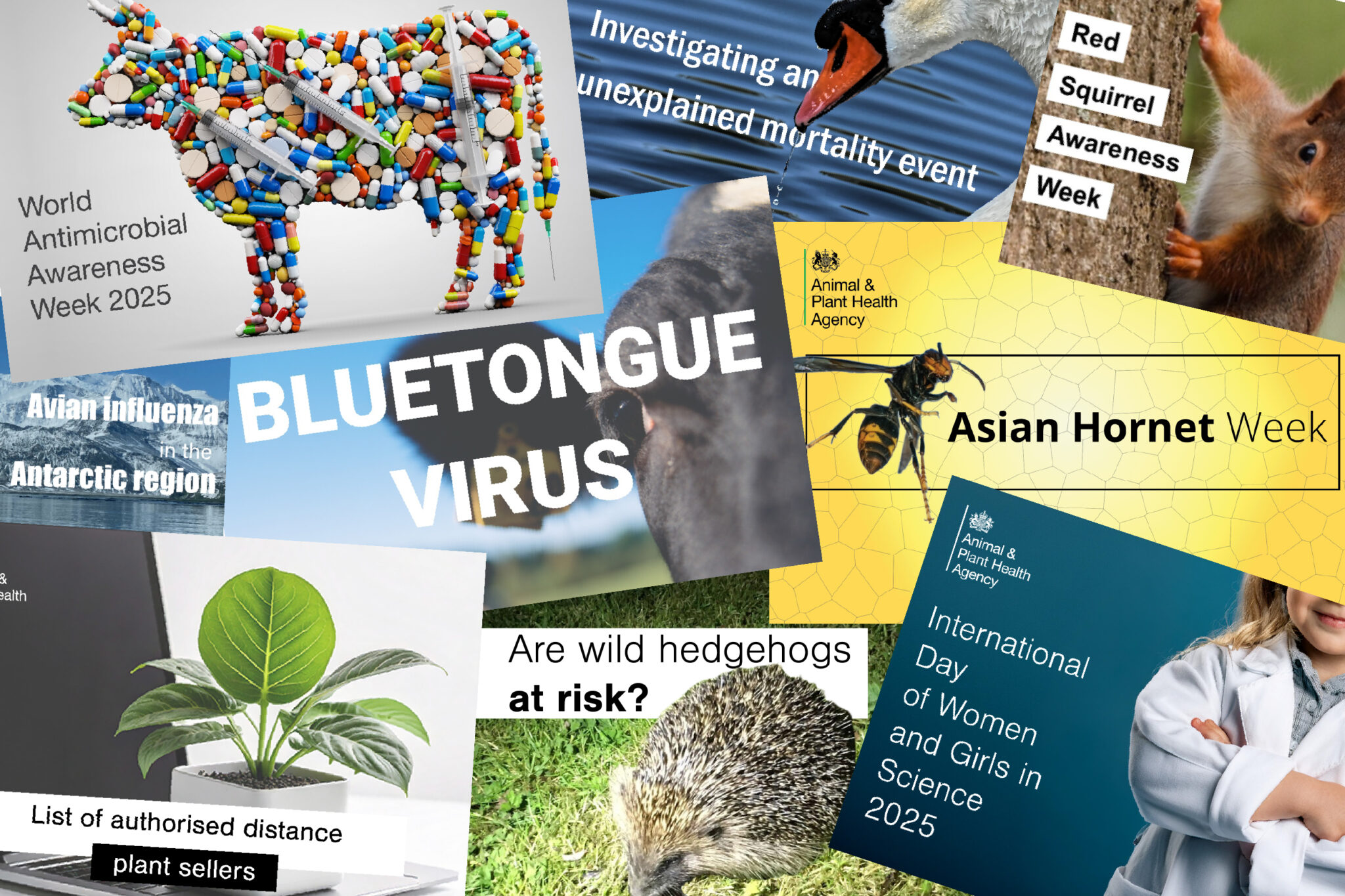 Meet the people behind the APHA Science Blog – APHA Science Blog