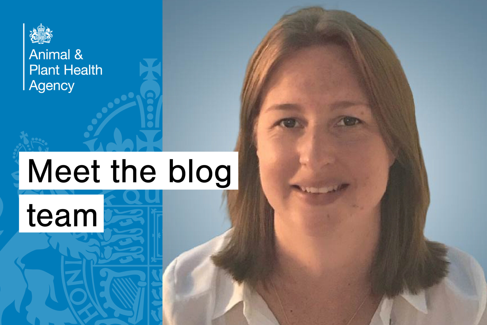 APHA Science Blog – News and updates from the Animal and Plant Health ...